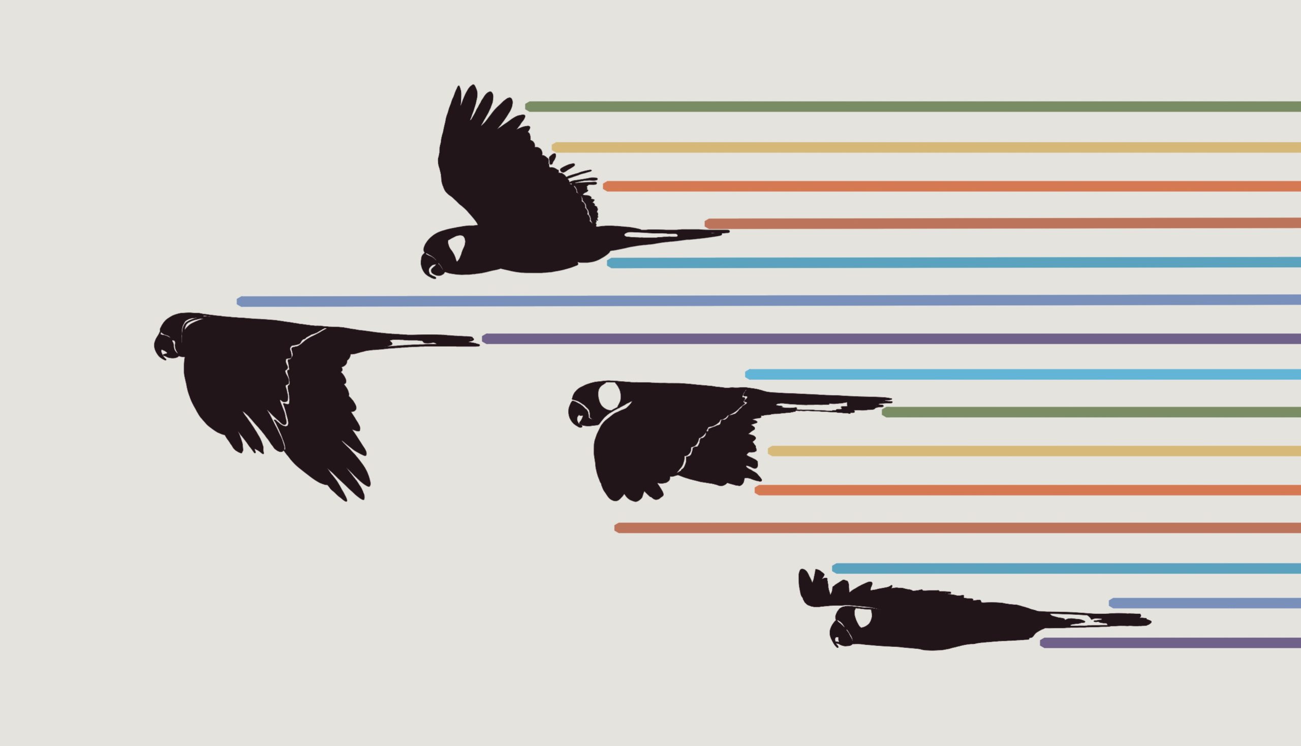 From the Classroom to Creativity: Three Dog Design - Exit Stage Teach